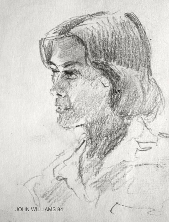 In Situ Portrait # 17 - Missouri Artist John Williams - Drawings ...