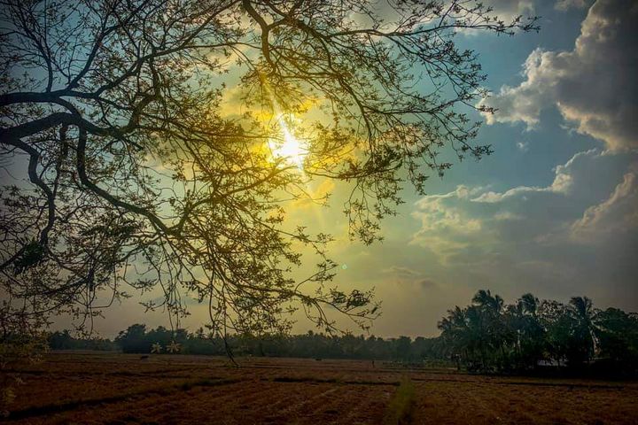 Sasa Art - Photography