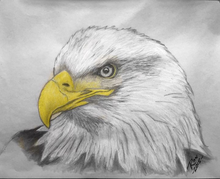 Eagle - Drawings - Drawings & Illustration, Animals, Birds, & Fish ...