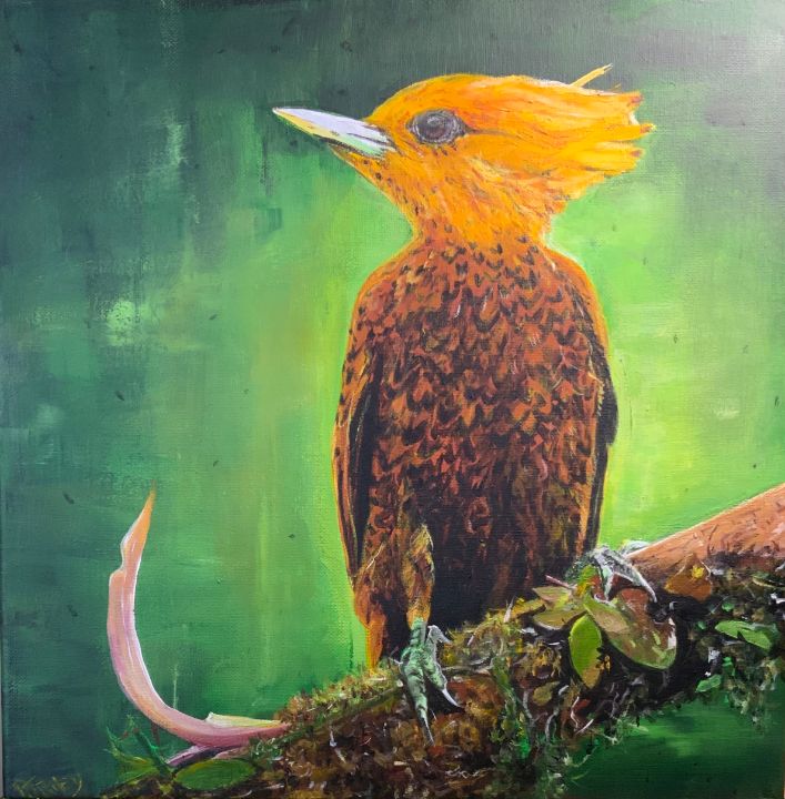 Bird on a limb - PJ Riley Art - Paintings & Prints, Animals, Birds ...