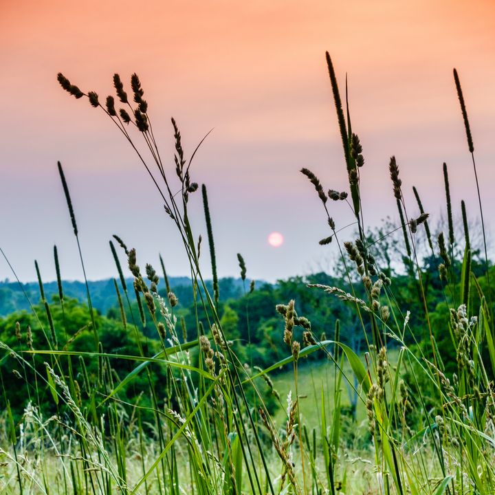 Sunset over Kentucky countryside - BigEye Photography - Photography ...