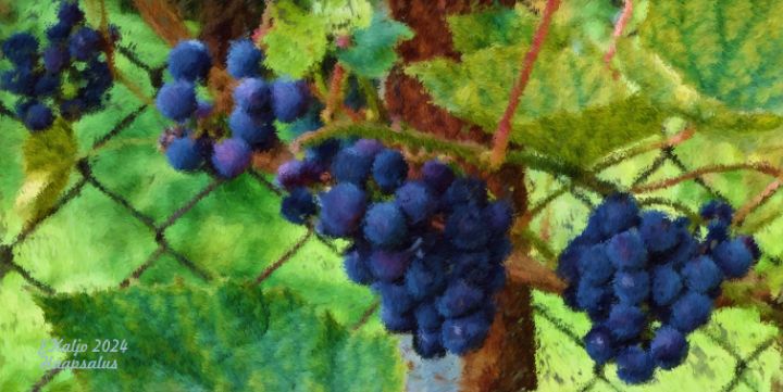 Dark muscat grapes - Artland Gallery - Paintings & Prints, Landscapes ...
