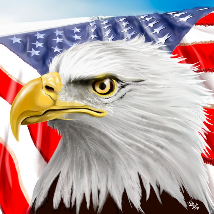 American Bald Eagle - DigitalArt4You - Digital Art & AI, Animals, Birds ...
