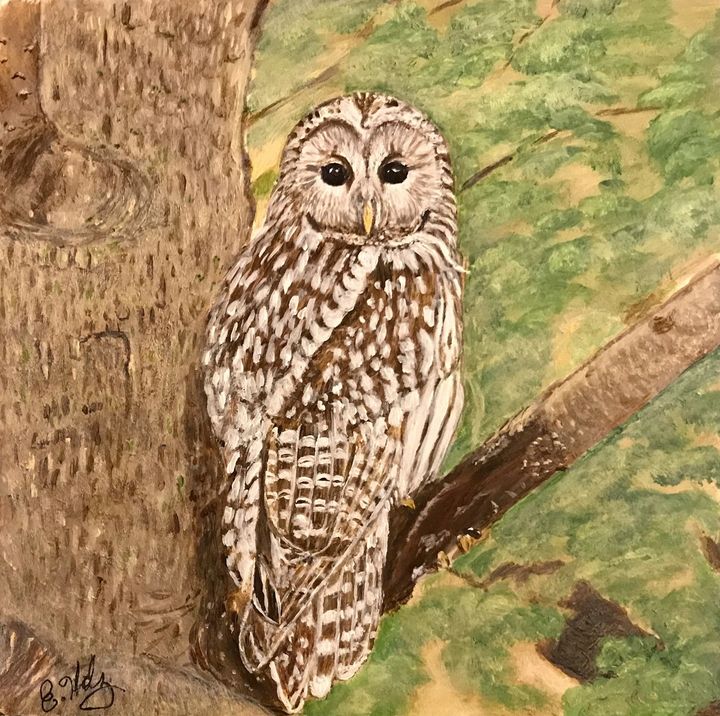 Ural Owl - Fine Art by Evelyn Hernandez - Paintings & Prints, Animals ...