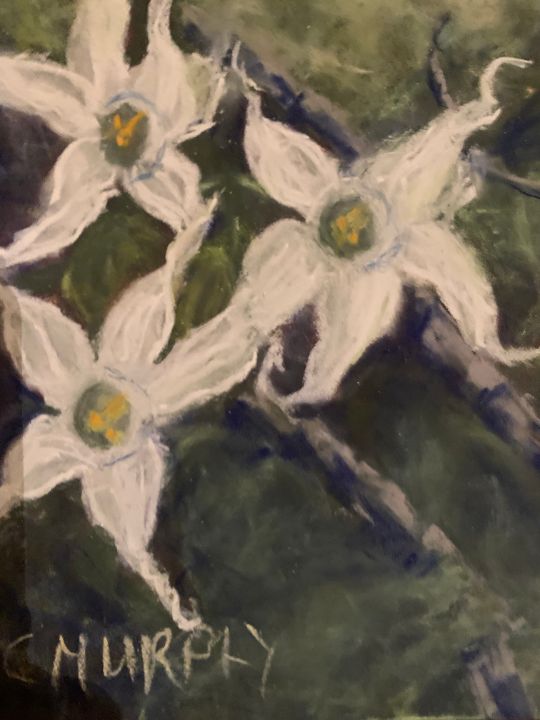 Balloon Flower - C. Murphy Artwork - Paintings & Prints, Flowers ...