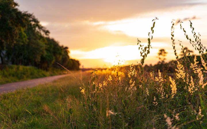 Sunset Nature Trail - Libni Photography - Photography, Landscapes ...
