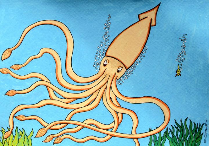 Calamari - CD Fine Art - Drawings & Illustration, Animals, Birds ...