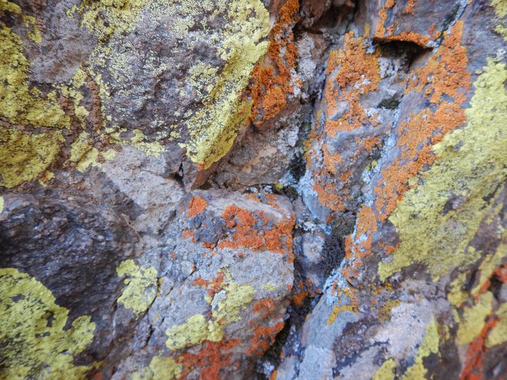 Daniel James Abstract and Landscapes - Photography, Digital Art