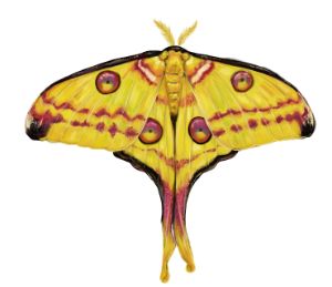 Catharsis for Art - Paintings & Prints, Digital Art & AI, Drawings ...