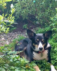 aRTee - Photography, Paintings & Prints, Digital Art & AI