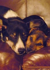 aRTee - Photography, Paintings & Prints, Digital Art & AI