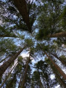 aRTee - Photography, Paintings & Prints, Digital Art & AI