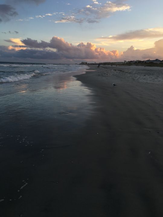 Brian Gordon Green - Photography