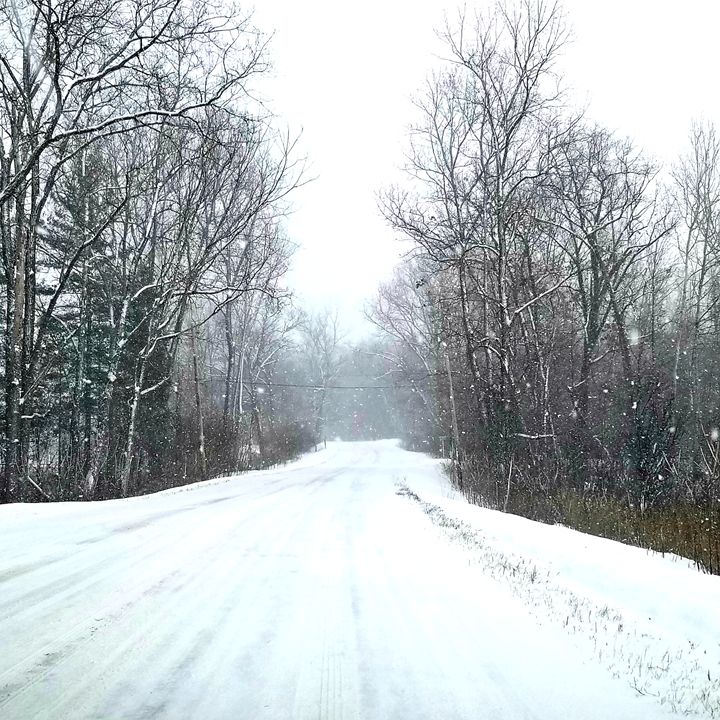 Snow in Michigan - Springfield - Photography, Landscapes & Nature ...