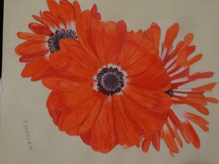 A family of the poppies. - Rose and Nev - Paintings & Prints, Flowers ...