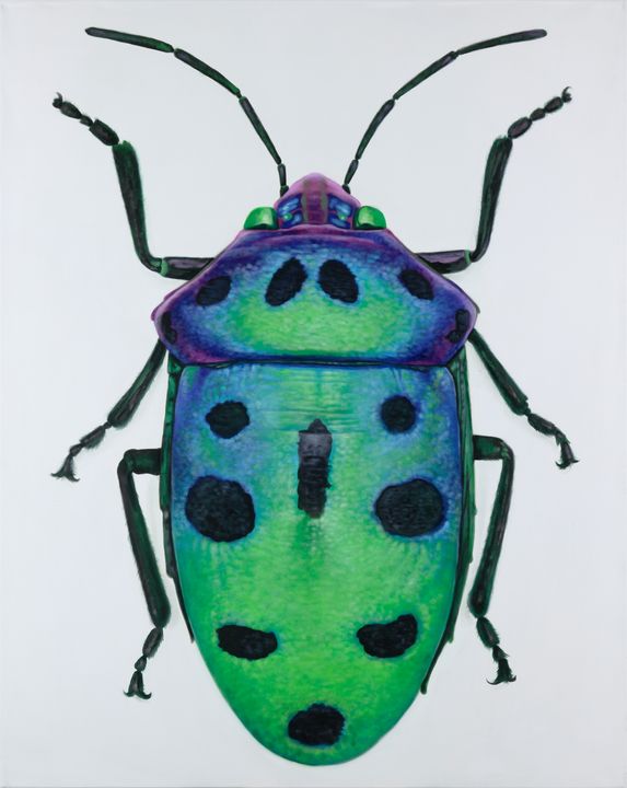 Bugs Life 2 - Carl Henry - Paintings & Prints, Animals, Birds, & Fish ...
