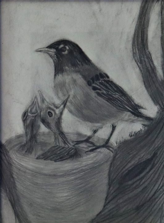 Robin - Wild Bird Art Gallery - Drawings & Illustration, Animals, Birds ...