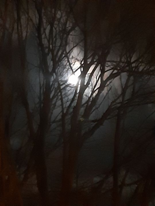 Winter moonlight - F Smith - Photography, Landscapes & Nature, Seasons ...