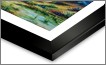 EYE CANDY - Ruth Bowen Professional Artist - Paintings & Prints ...