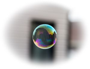 Shamoy Photography - Photography