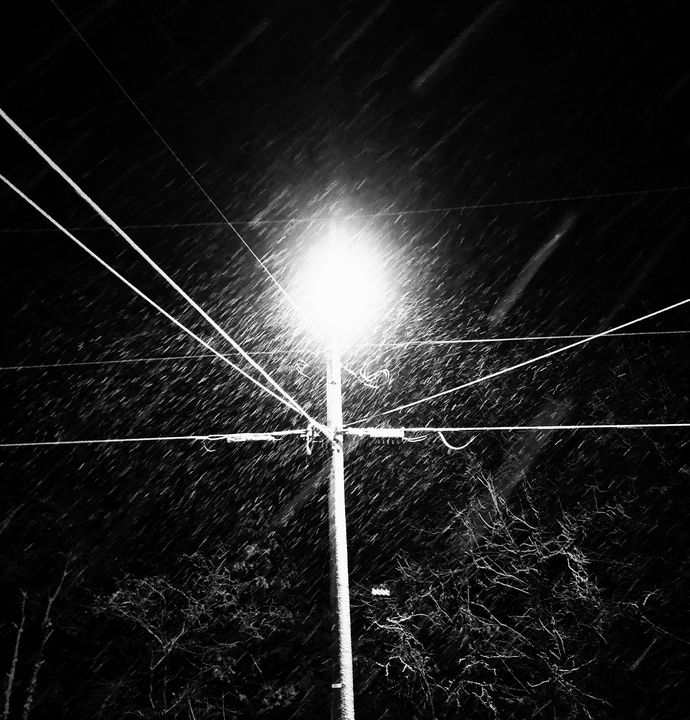 Ice Storm 2020 - Winged Creations - Photography, Landscapes & Nature ...