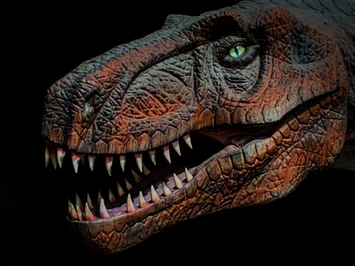 T Rex Large - Winged Creations - Digital Art, Animals, Birds, & Fish ...
