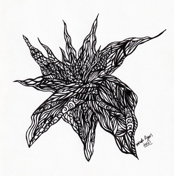 Sarah Ryan - Photography, Drawings & Illustration