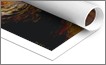 Cast Your Net Again - The Art of Daniel Bonnell - Paintings & Prints ...