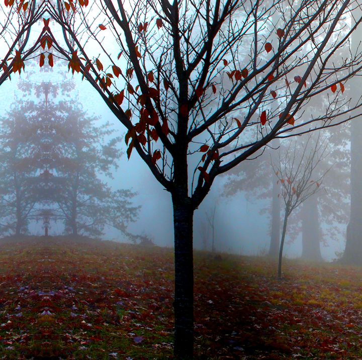 The Fogs of Life - EricBuechel.Net - Photography, Landscapes & Nature ...