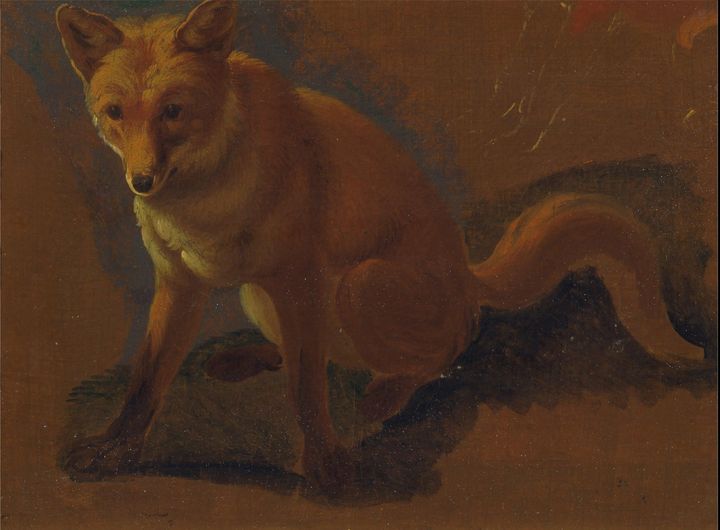 Jacques-Laurent Agasse~Study of a Fo - Classical art - Paintings ...