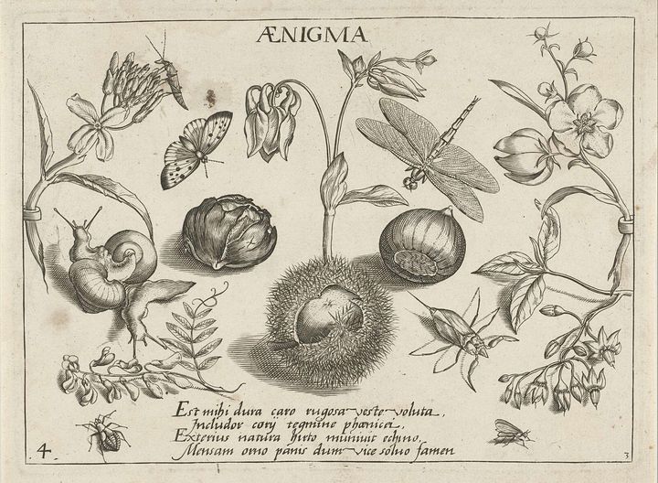 Joris Hoefnagel, Jacob Hoefnagel~Die - Classical art - Paintings ...