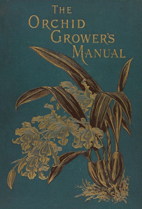 Benjamin Samuel Williams~'The Orchid - Classical art - Paintings ...