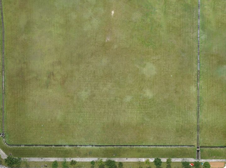 2D Map of Grass Field - Alvin Wong Photography Corner - Photography ...