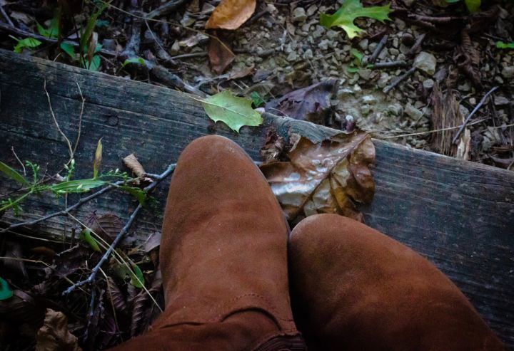 Fall Rest - VIK - Photography, Still Life, Other Still Life - ArtPal