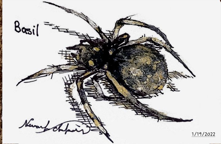 Beautiful Spiders Art