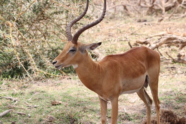 Dre Day - Photography