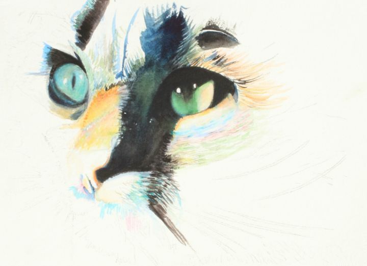" Cat Eyes " - JoFra Art - Paintings & Prints, Animals, Birds, & Fish ...