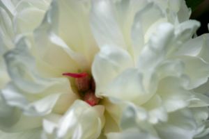 JoFra Art - Photography, Paintings & Prints