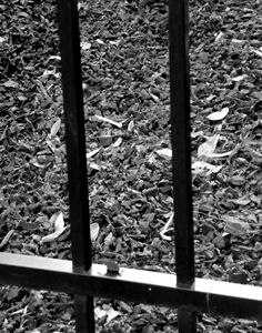 ProVision - Photography