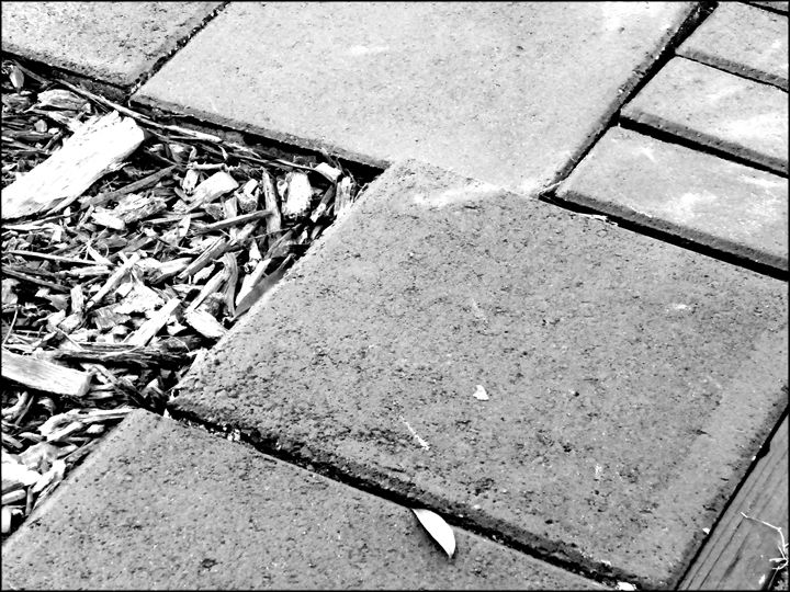 ProVision - Photography