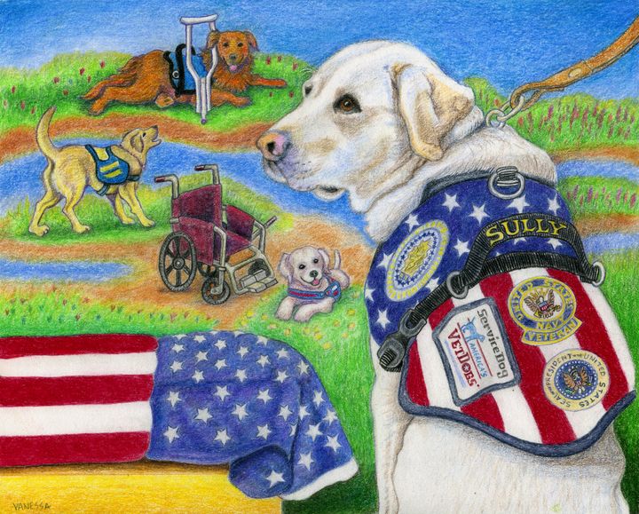 Sully the Service Dog - Vanessa M - Drawings & Illustration, Animals ...