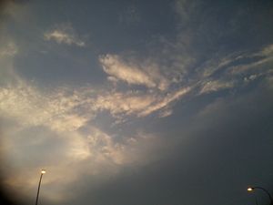 HoneySugarQuill - Photography, Drawings & Illustration