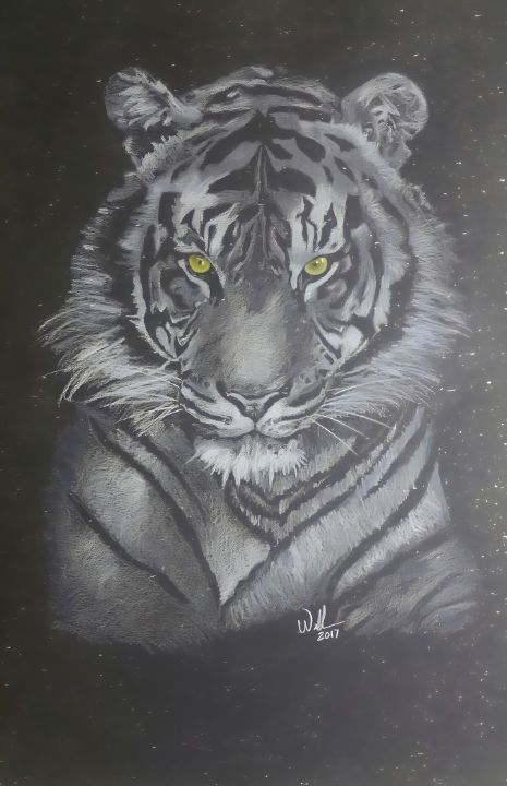 Graphite Tiger - William Evard Humphrey - Drawings & Illustration ...