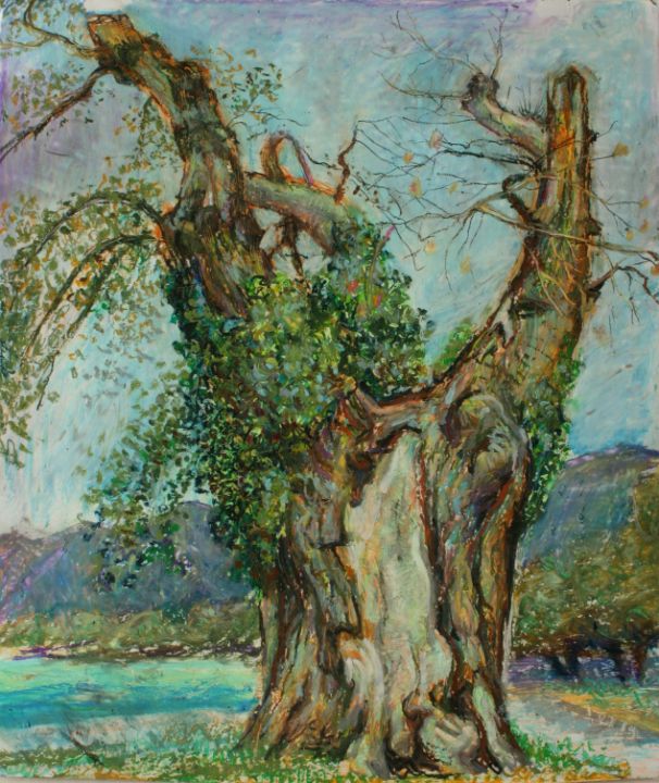 Summer. Gelendzhik. Tree - Polina_in_argentina - Drawings ...