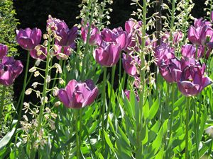 M.R.Art - Photography, Drawings & Illustration, Paintings & Prints