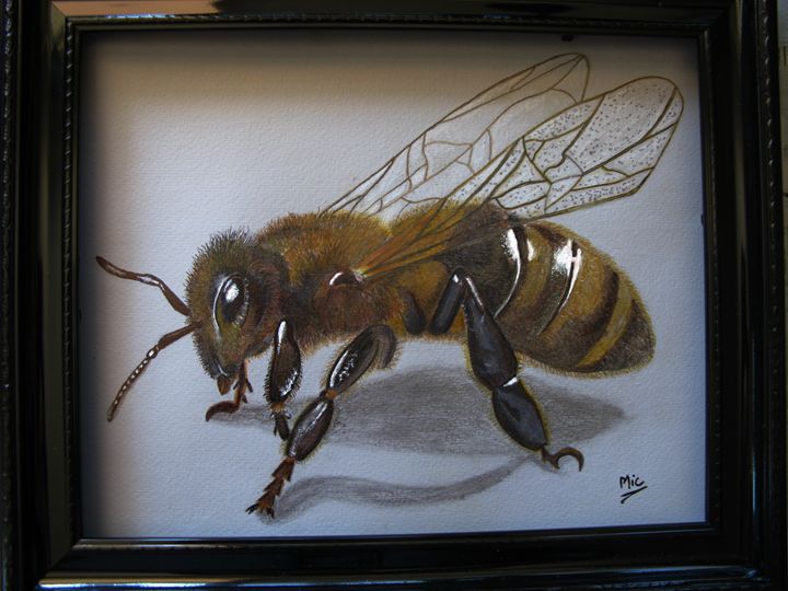 M.R.Art - Photography, Drawings & Illustration, Paintings & Prints