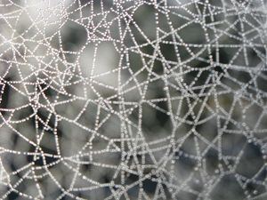 M.R.Art - Photography, Drawings & Illustration, Paintings & Prints