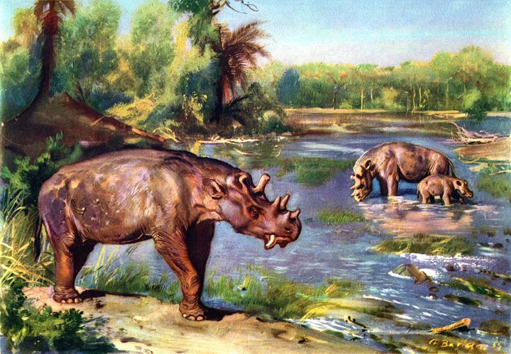Uintatherium - SPCHQ - Drawings & Illustration, Animals, Birds, & Fish ...