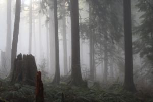 E_photographee - Photography