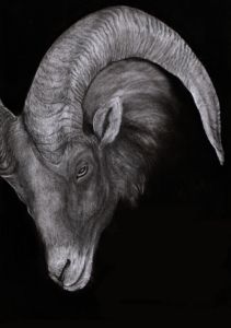 GOAT LORD - Nishkaka 89 - Drawings & Illustration, Animals, Birds ...